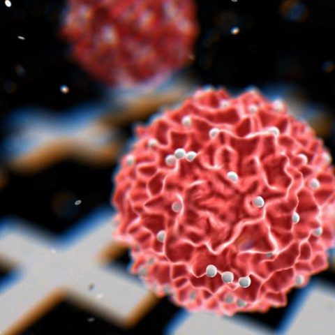 Rare Single Cell Analysis | Kelley Laboratory Research Group